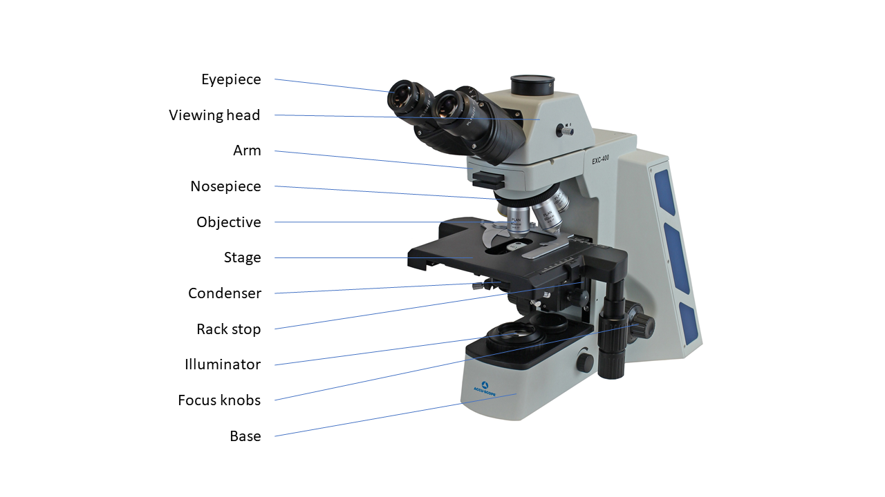 Understanding The Compound Microscope Parts And Its Functions